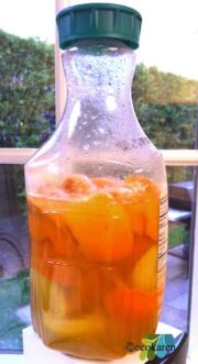 Citrus Enzyme Cleaner Recipe