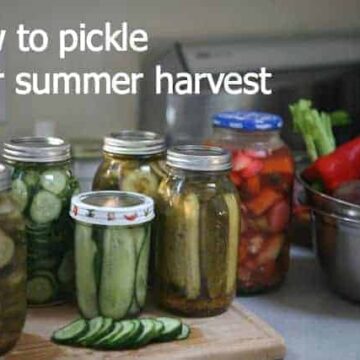 How to Pickle Your Summer Harvest